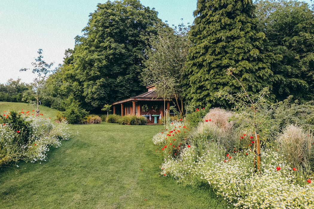 West Lexham Treehouses - Quirky treehouse stays in Norfolk