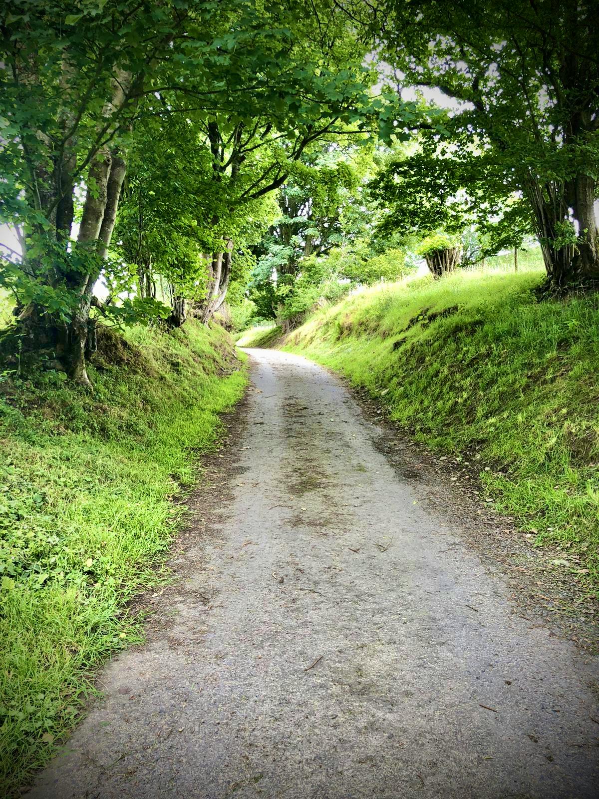 The Tithe House - Gorgeous holiday home in Powys for big groups.