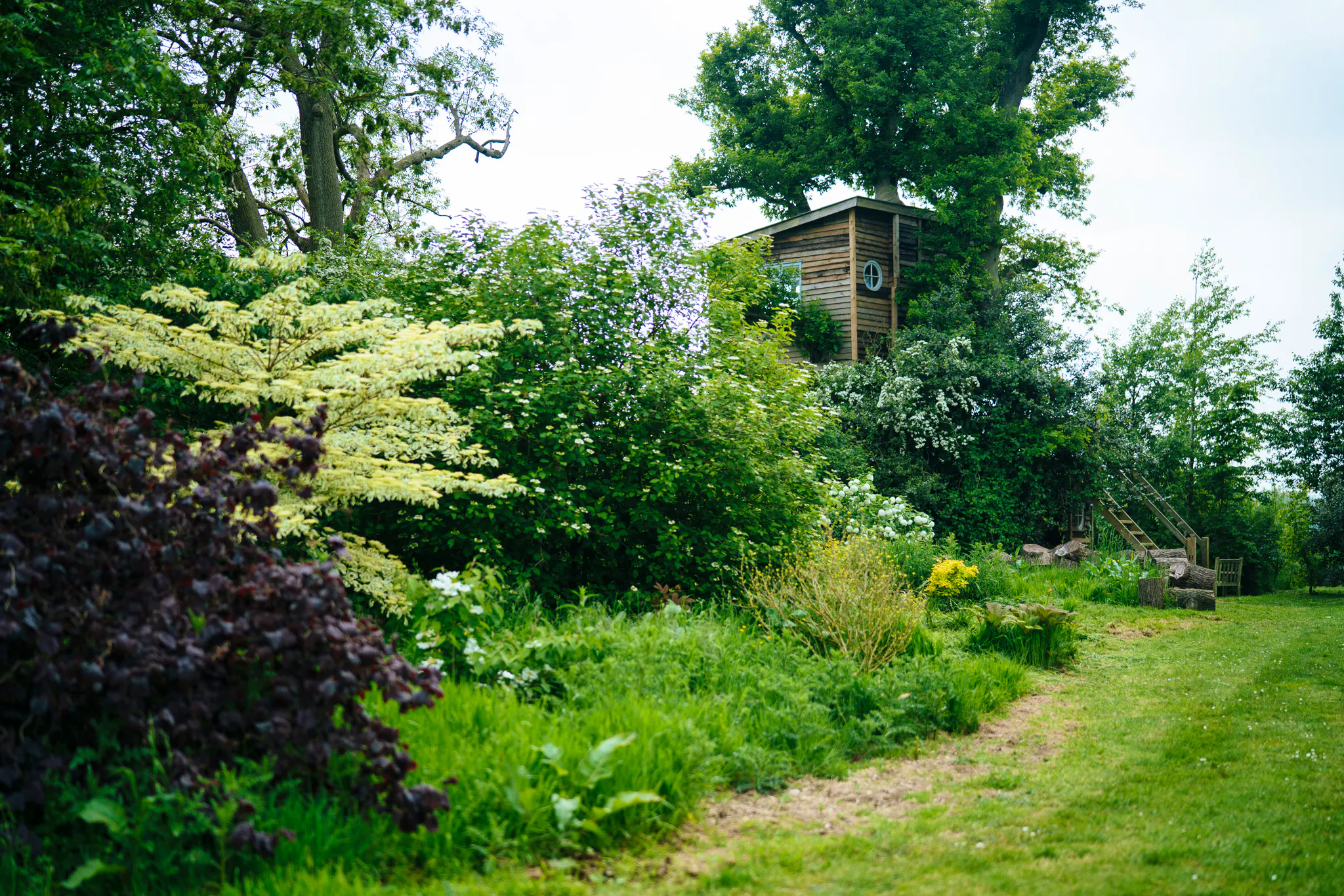 Treehouse Hideaway - fantastic romantic bolt hole in Kent