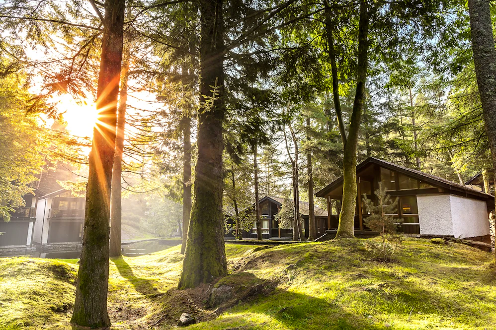 Award-winning Langdale Estate Lodges, Lake District | CoolStays
