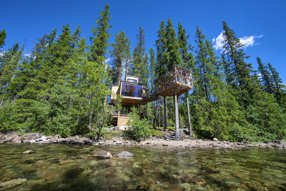 Treehouse Holidays - Stay in a Treehouse with Coolstays