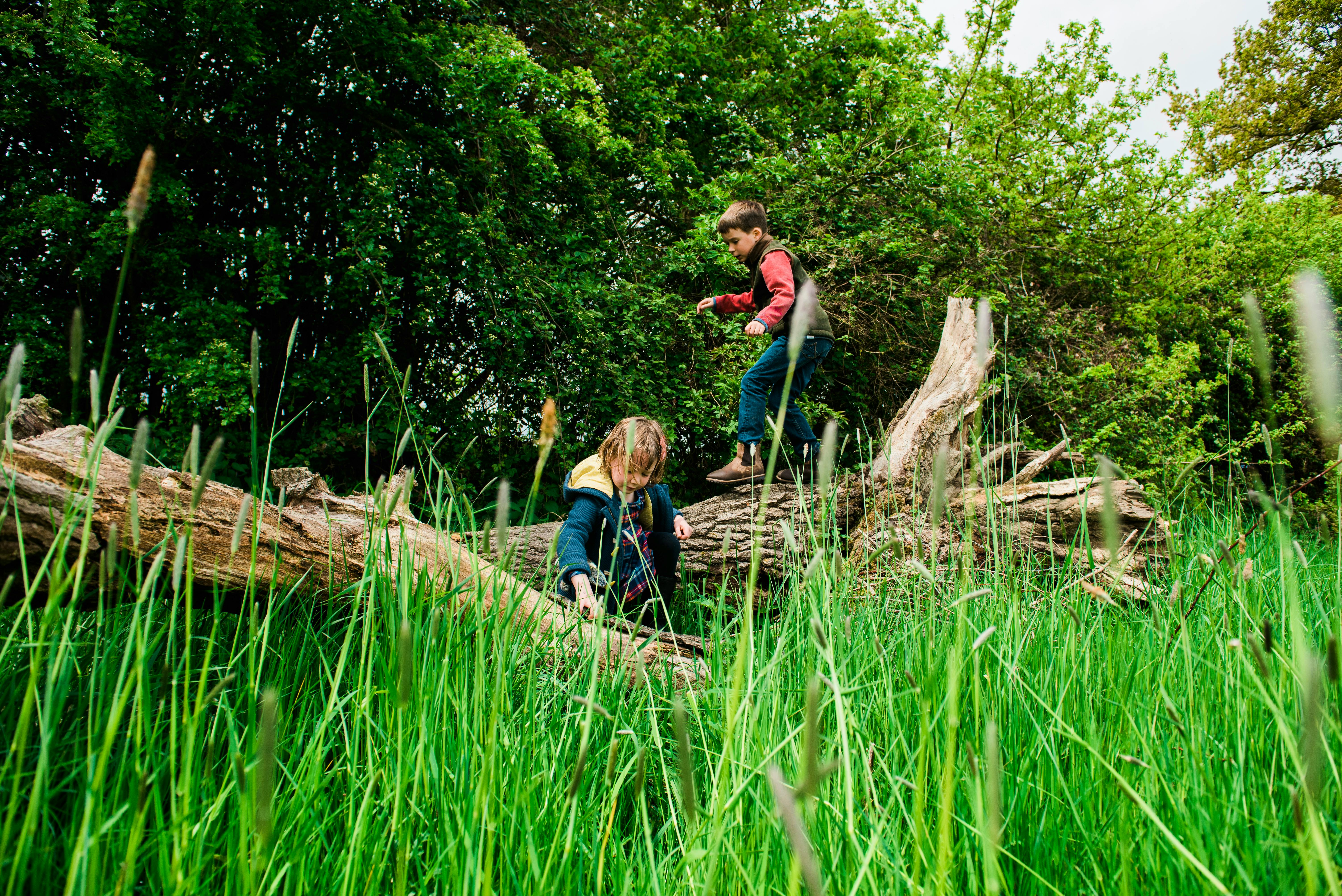 Malting Farm Cabins - luxury cabins in rural Essex