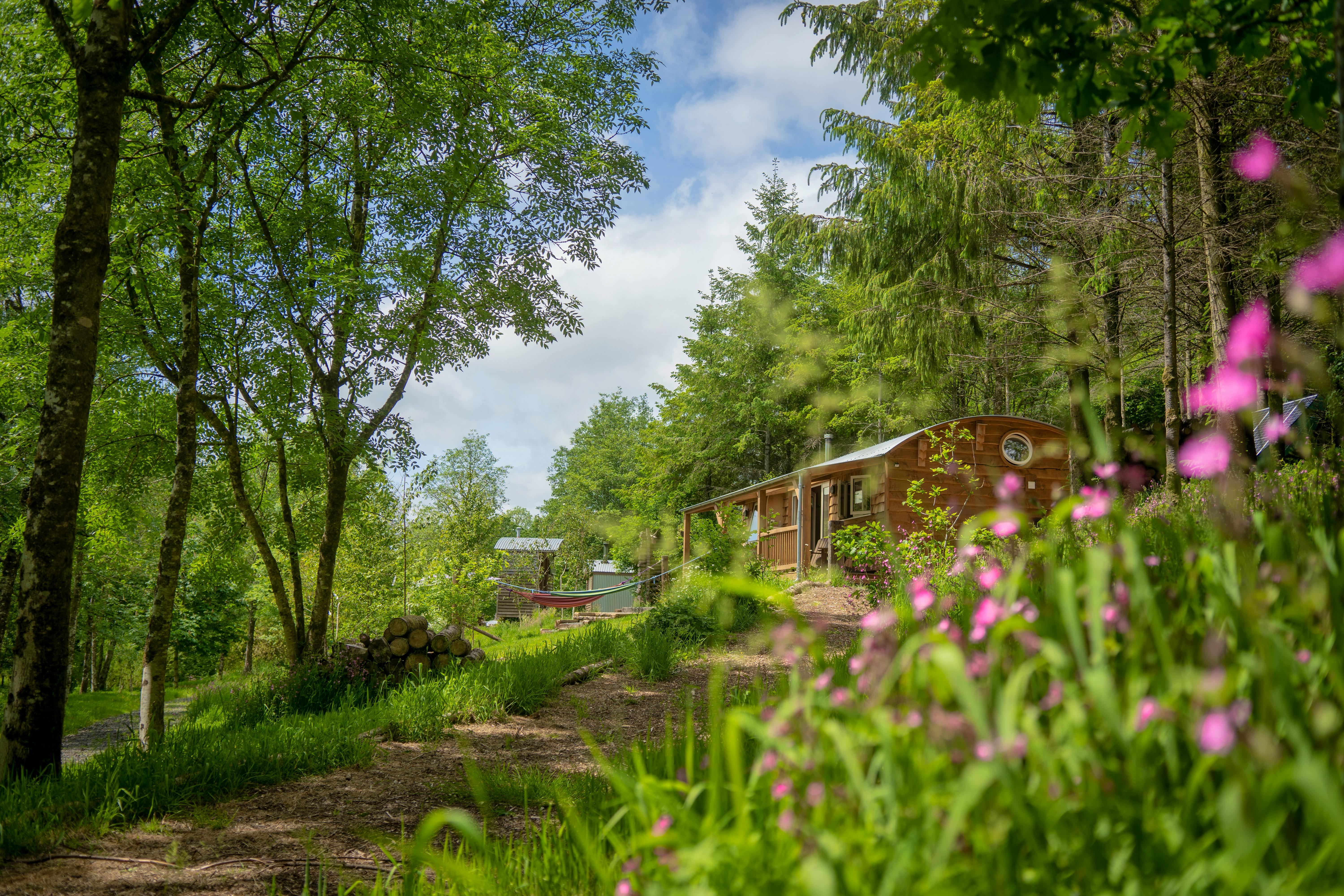 Devon Dens - Two gorgeous off-grid cabins in rural Devon