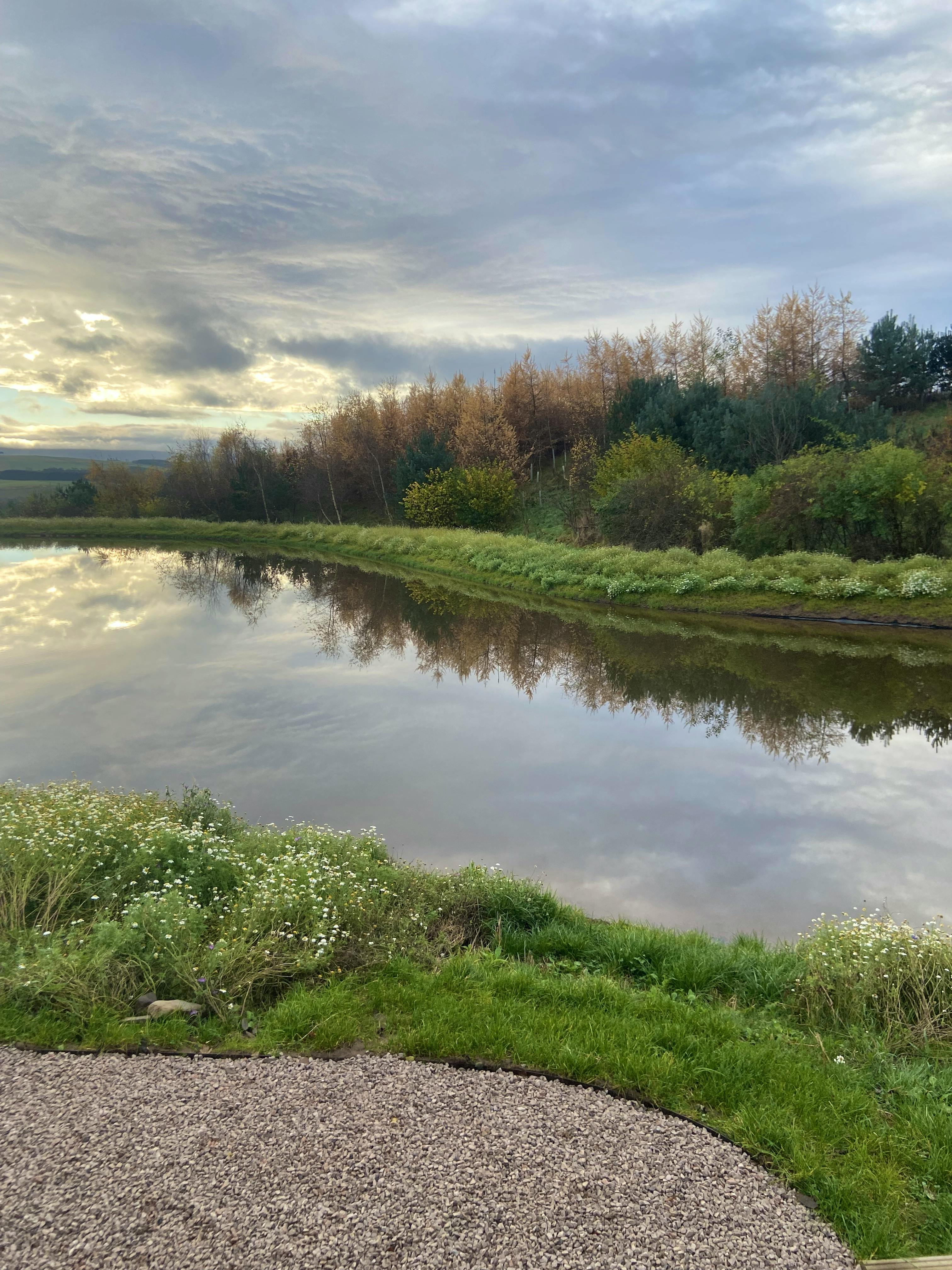 Tiny Home Borders - A quaint cabin in the throes of Rubers Law ...