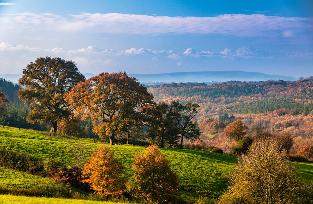 Coolstays guide to the High Weald AONB