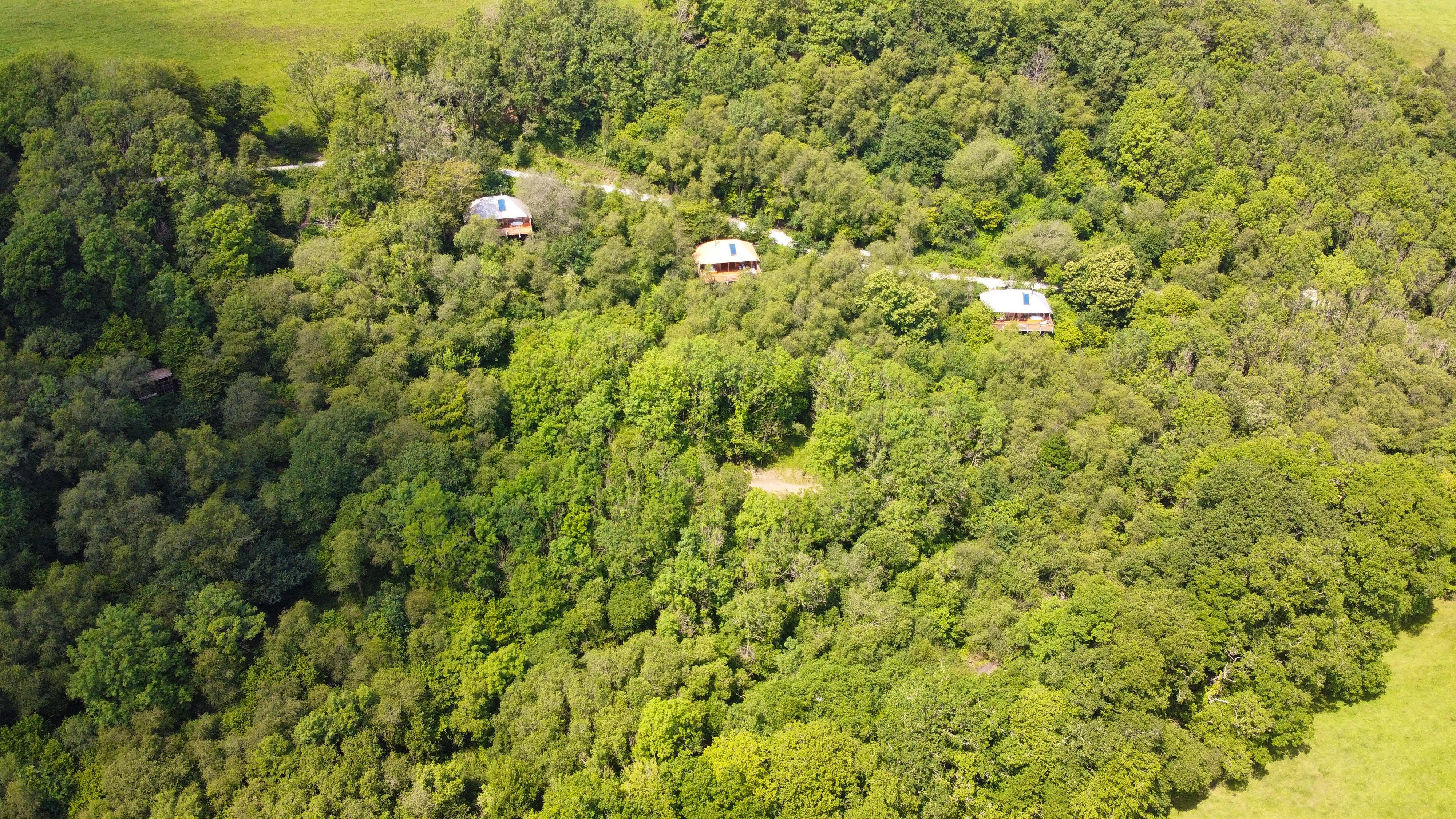 The Lookout Treehouse - Luxury Devon treehouse