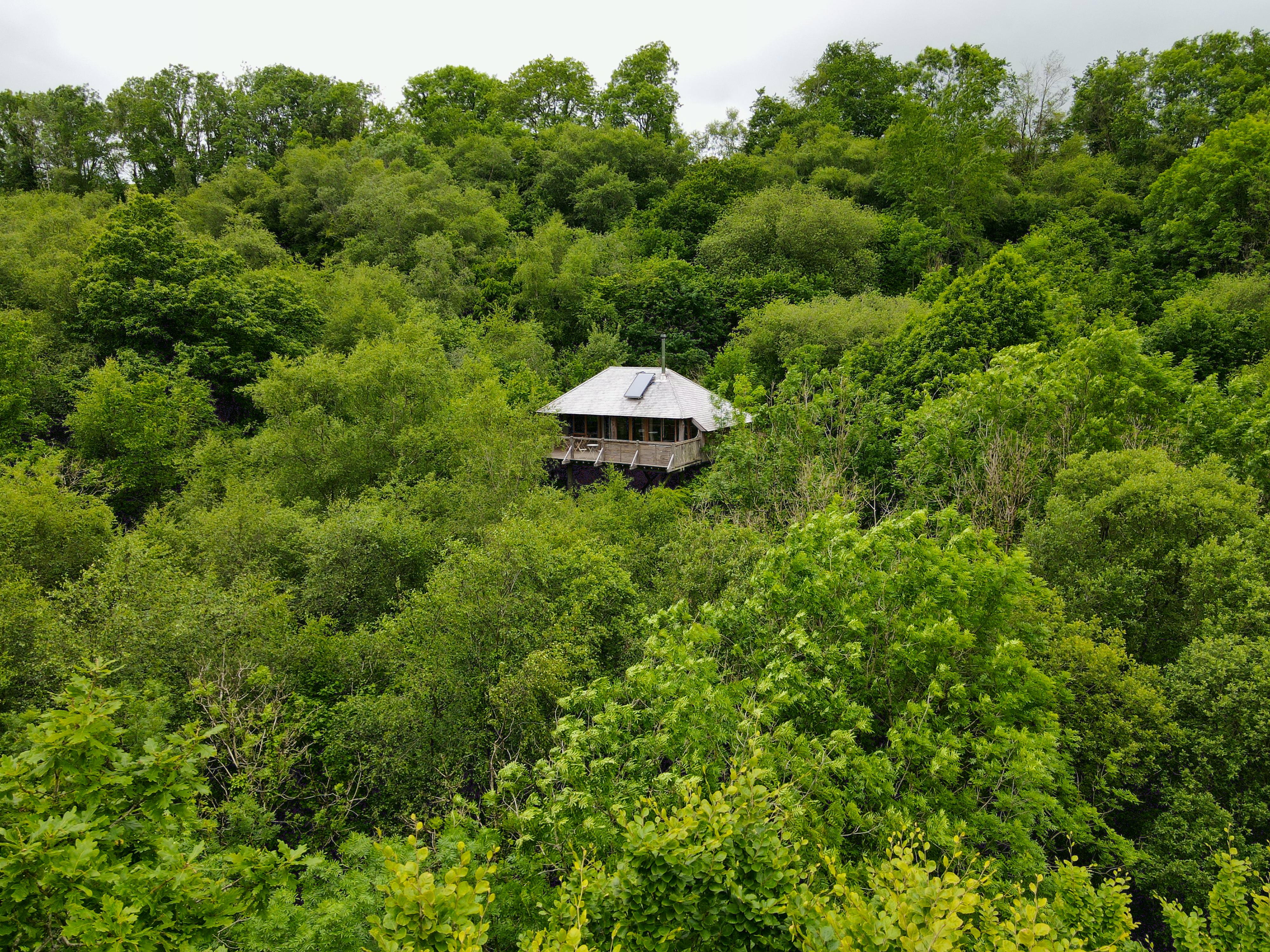 The Lookout Treehouse - Luxury Devon treehouse