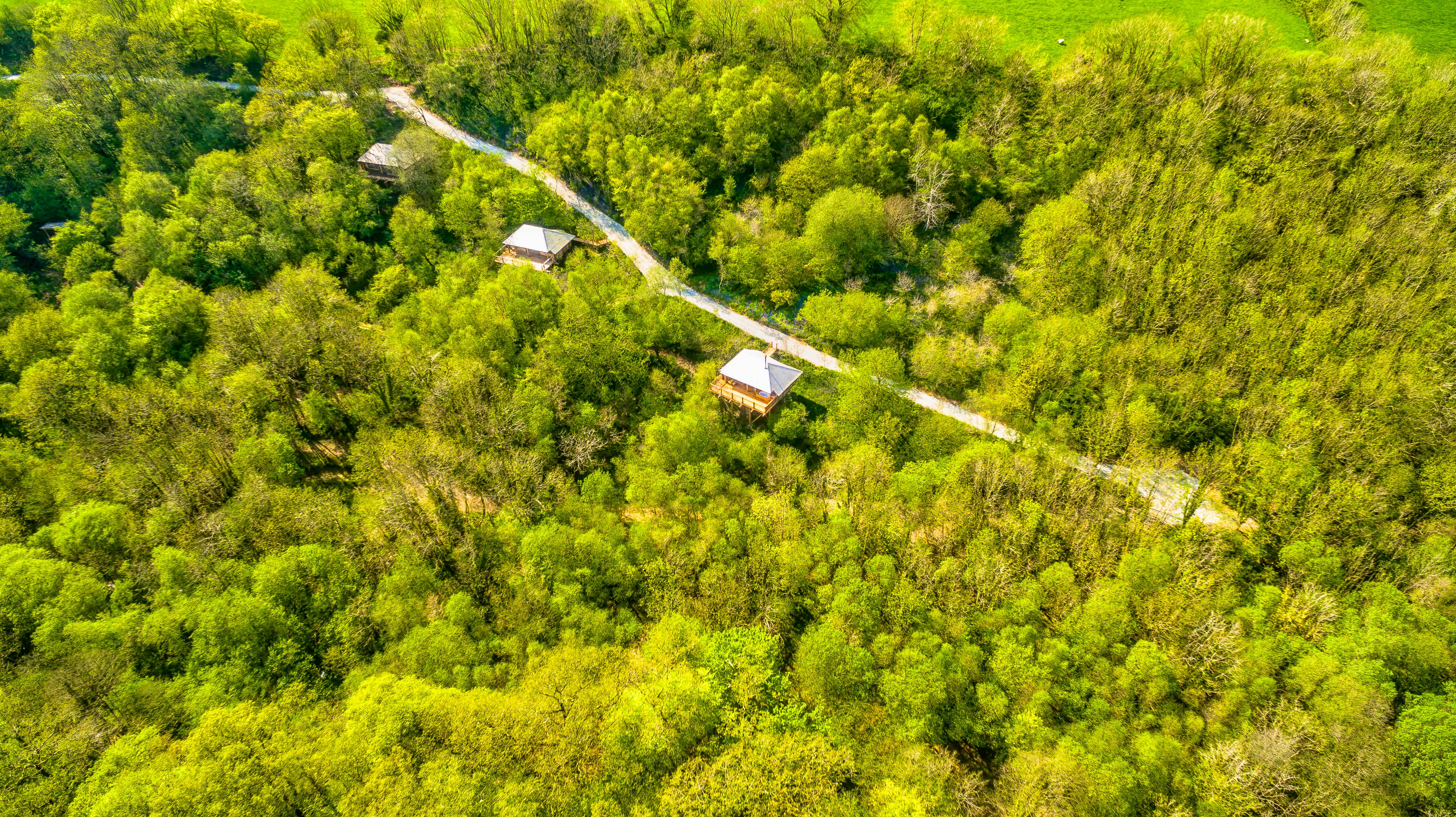 The Lookout Treehouse - Luxury Devon treehouse