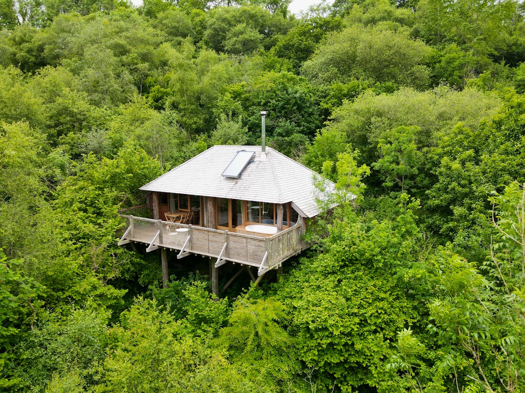 The Lookout Treehouse - Luxury Devon treehouse