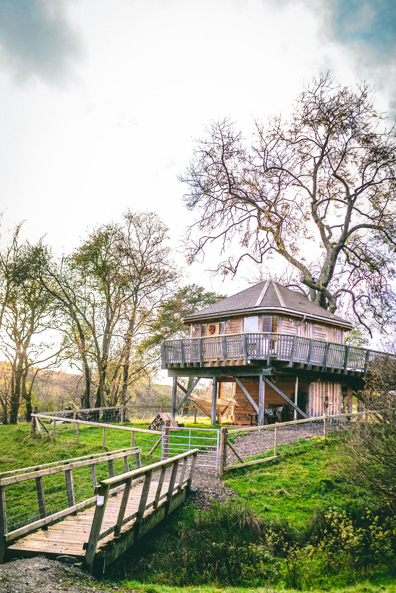 Treehouse Holidays - Stay in a Treehouse with Coolstays