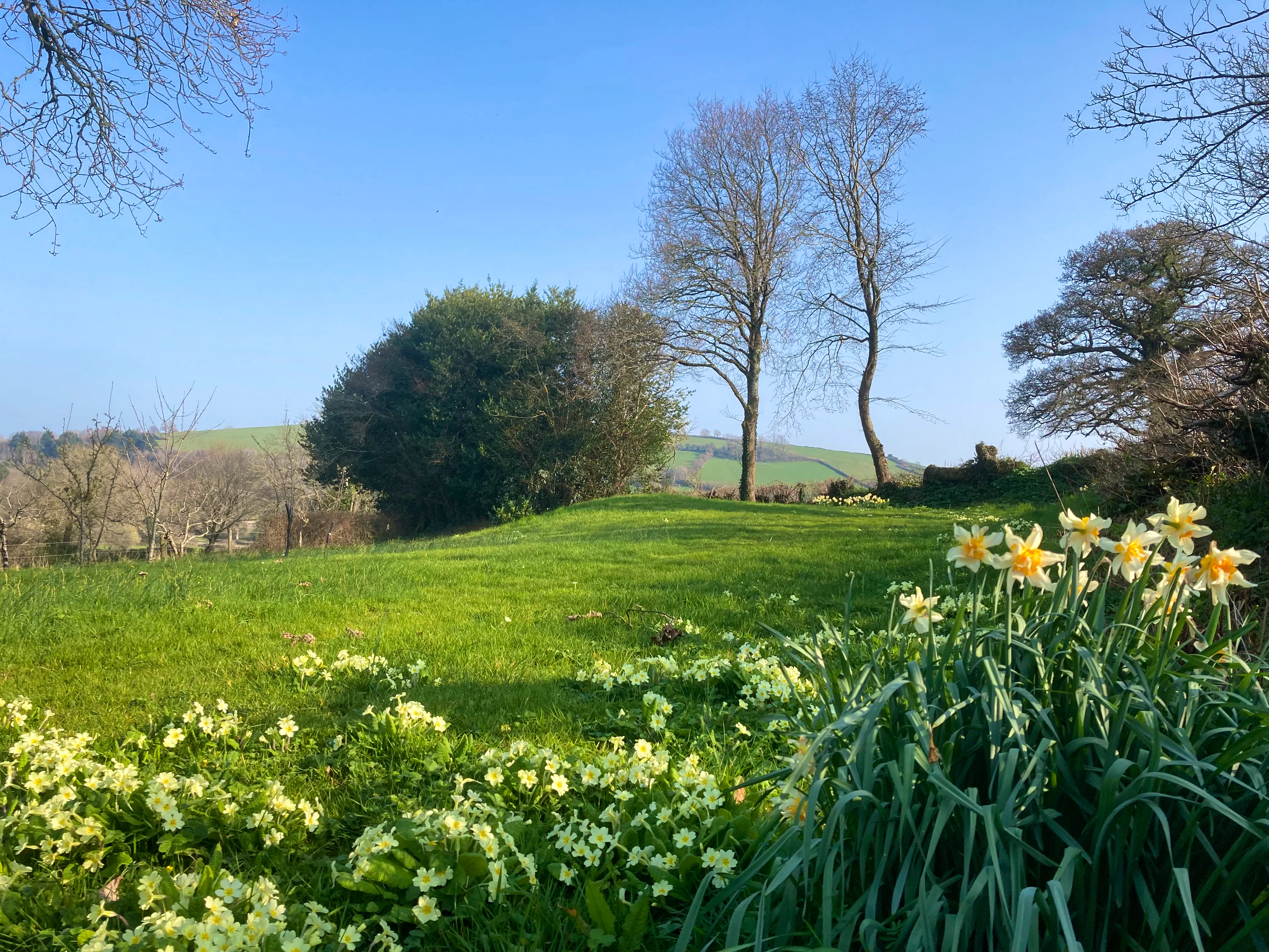 Orchard Bank Barn - Wonderful Devon barn