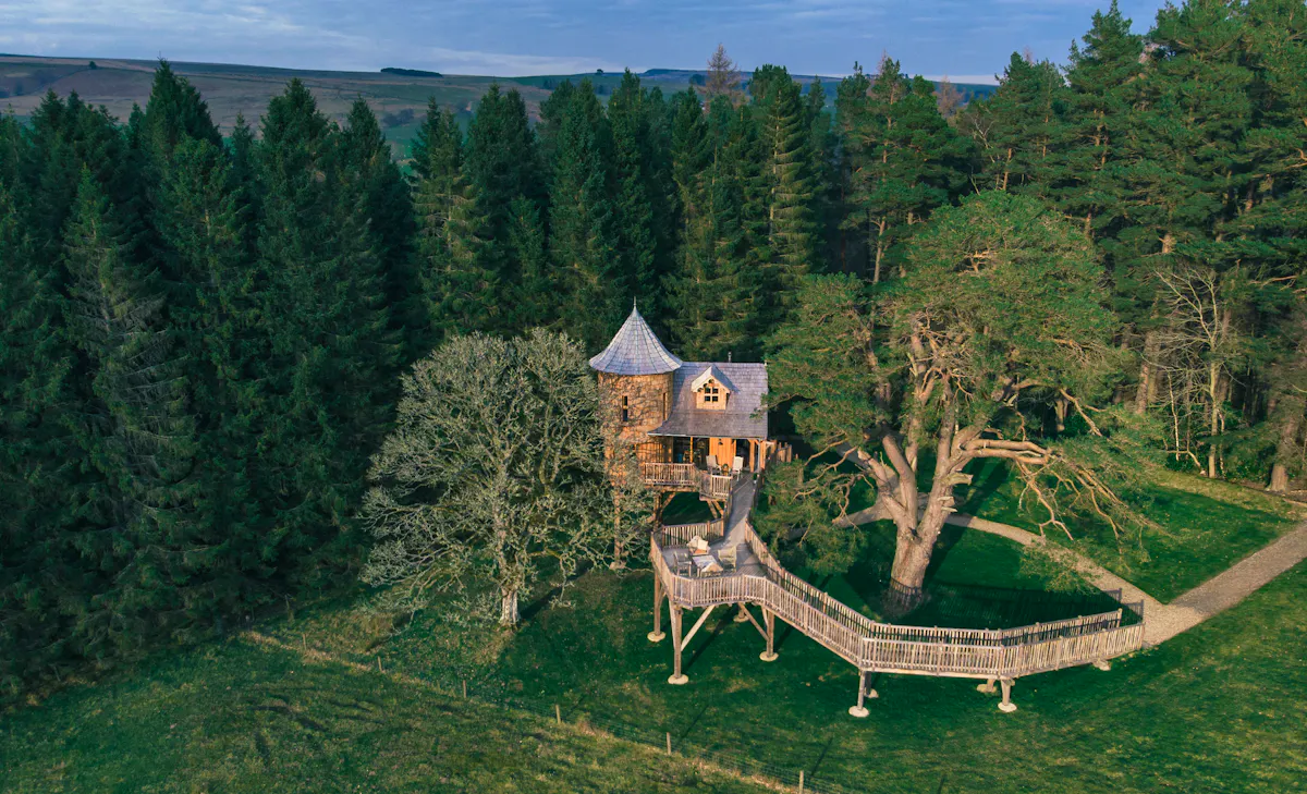 Skylark - Dreamy treehouse in the Northumberland National Park