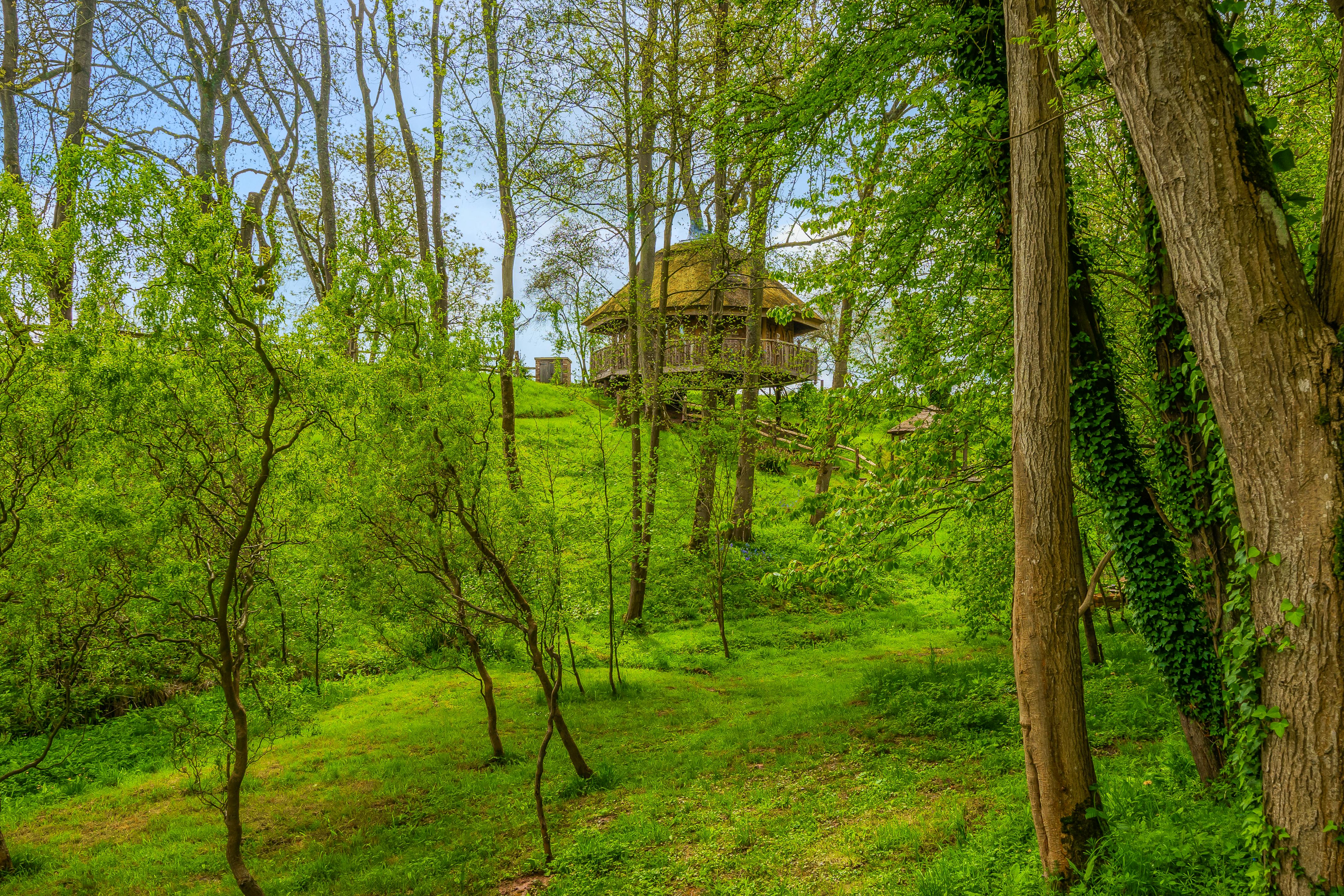 Treeopia - Luxury treehouses in Worcestershire