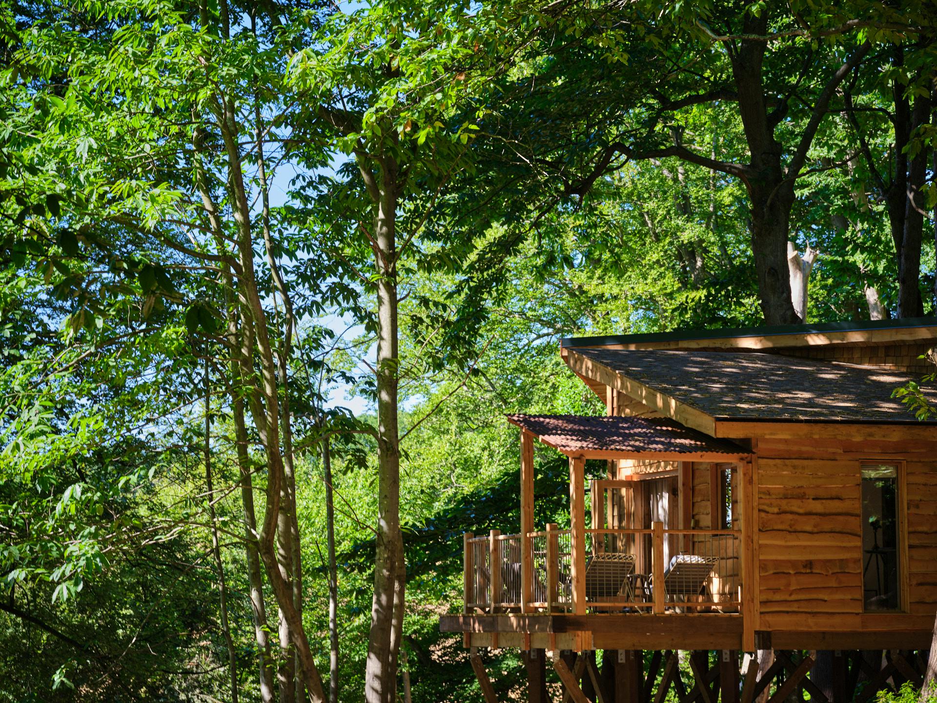 Tree House Retreats - Gorgeous treehouses in West Sussex