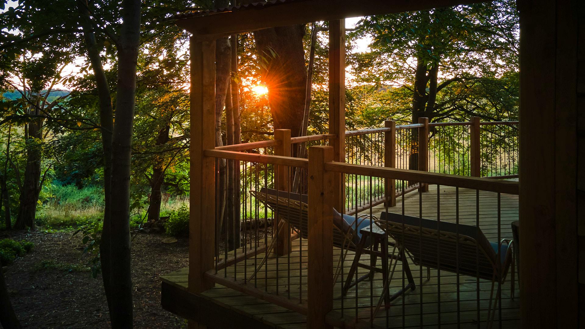 Tree House Retreats - Gorgeous treehouses in West Sussex