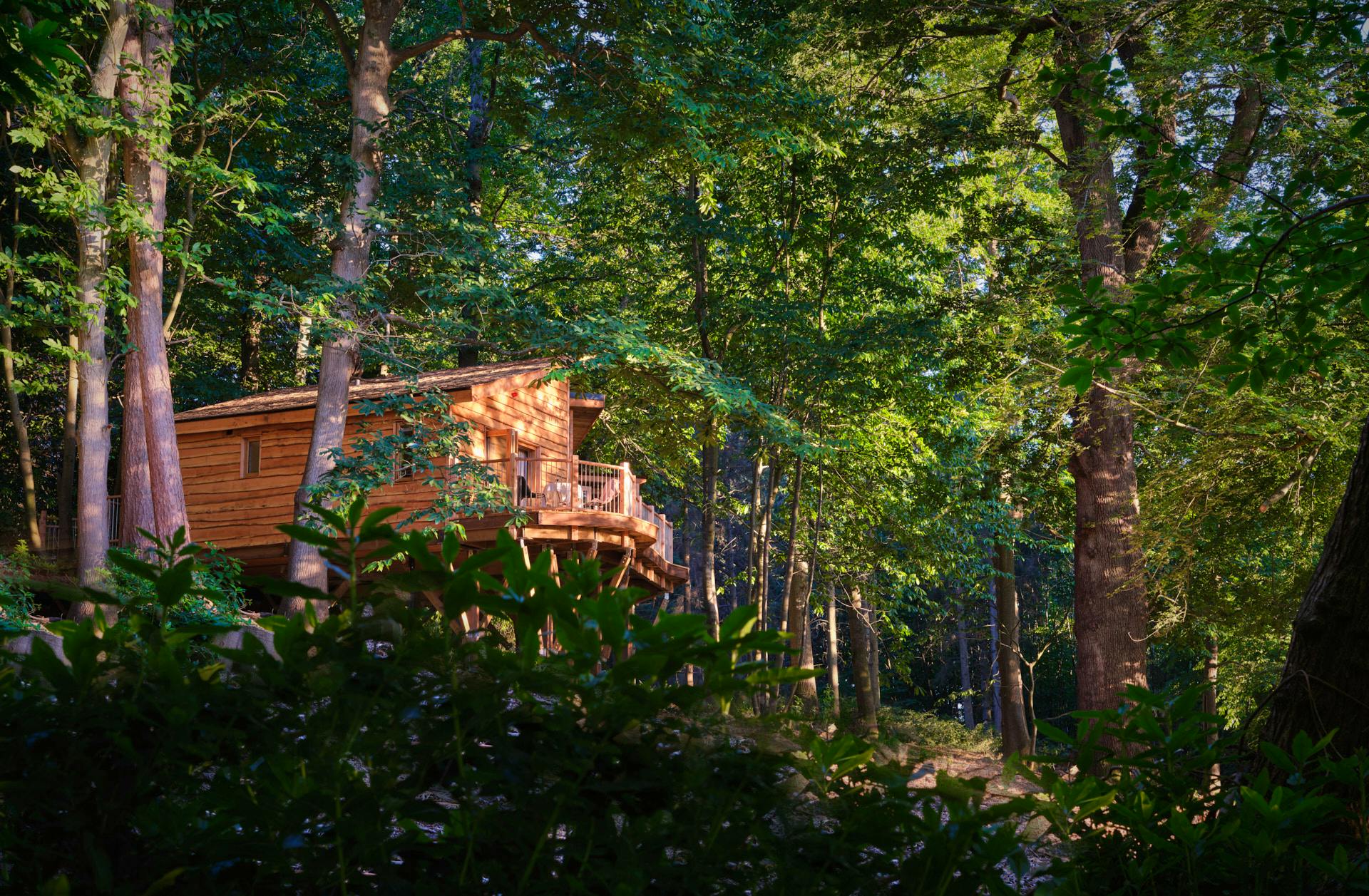 Tree House Retreats - Gorgeous treehouses in West Sussex