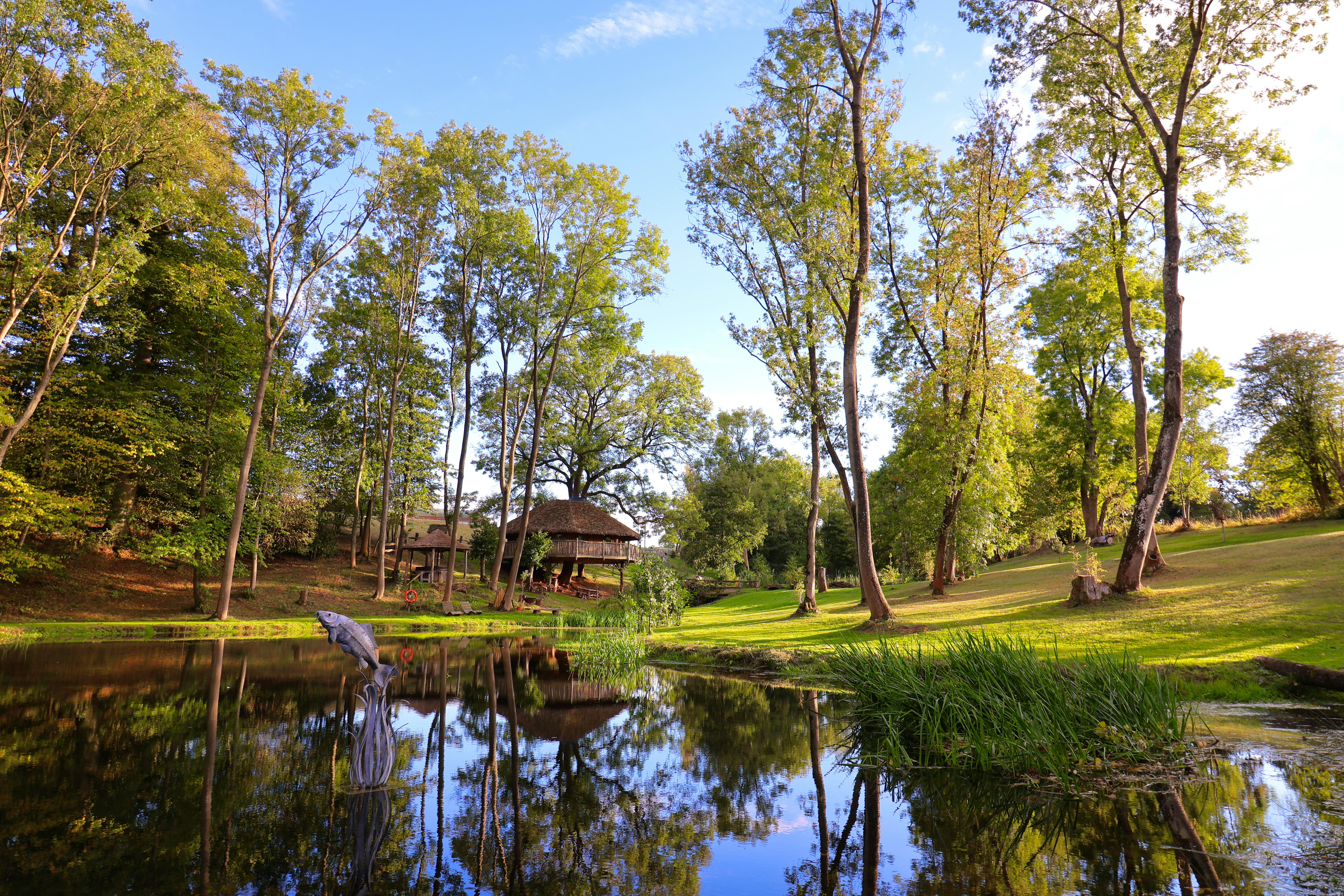 Treeopia - Luxury treehouses in Worcestershire