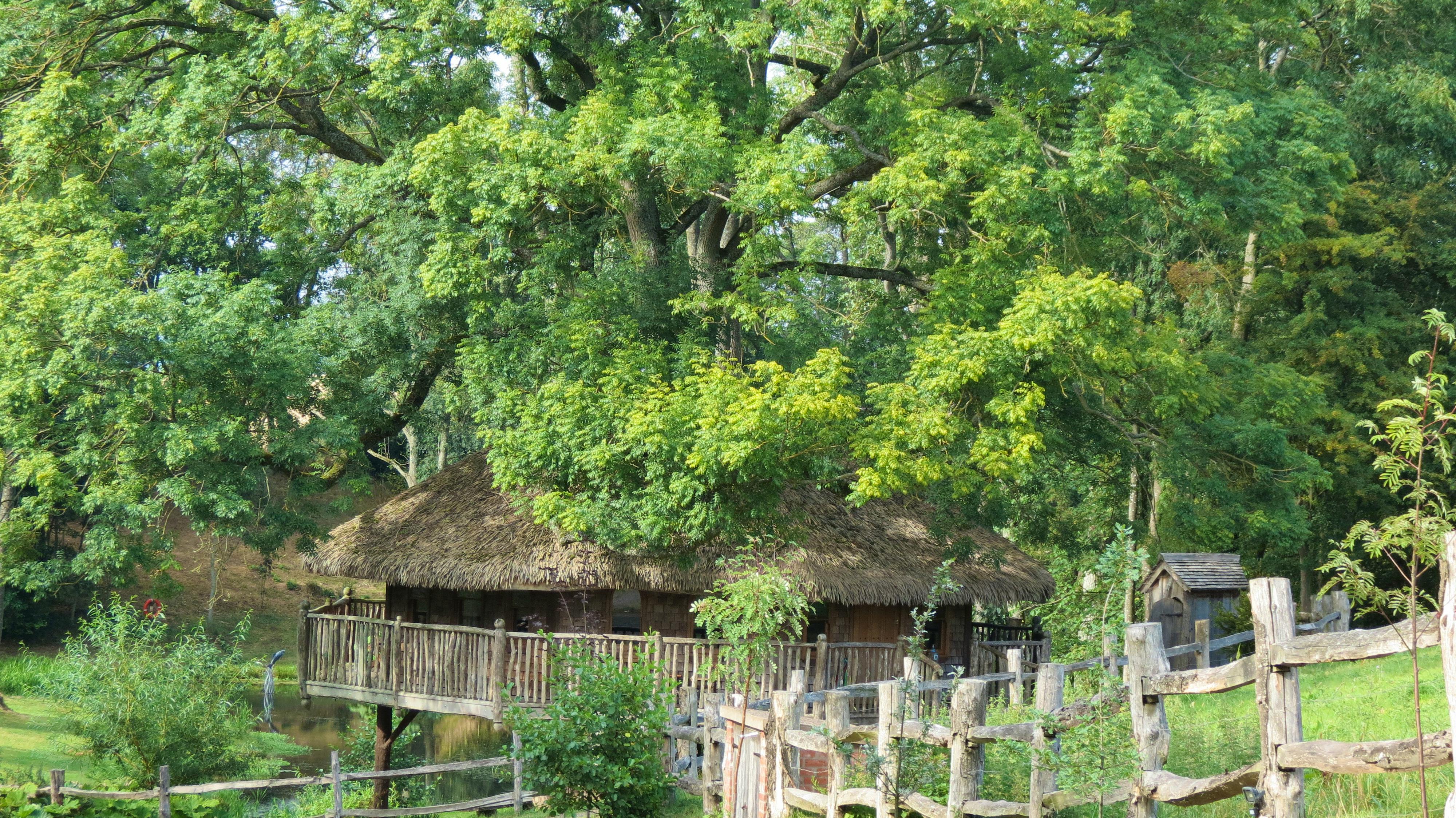 Treeopia - Luxury treehouses in Worcestershire