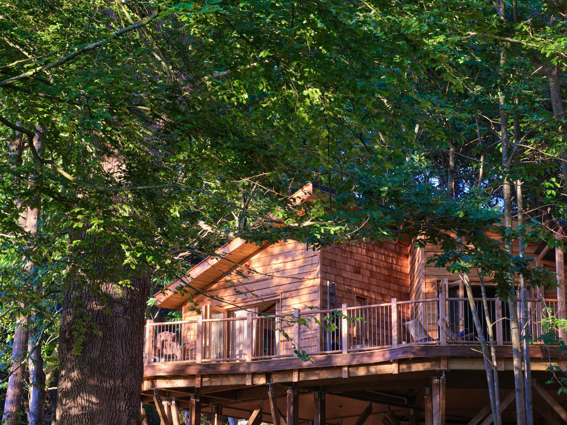 Tree House Retreats - Gorgeous treehouses in West Sussex