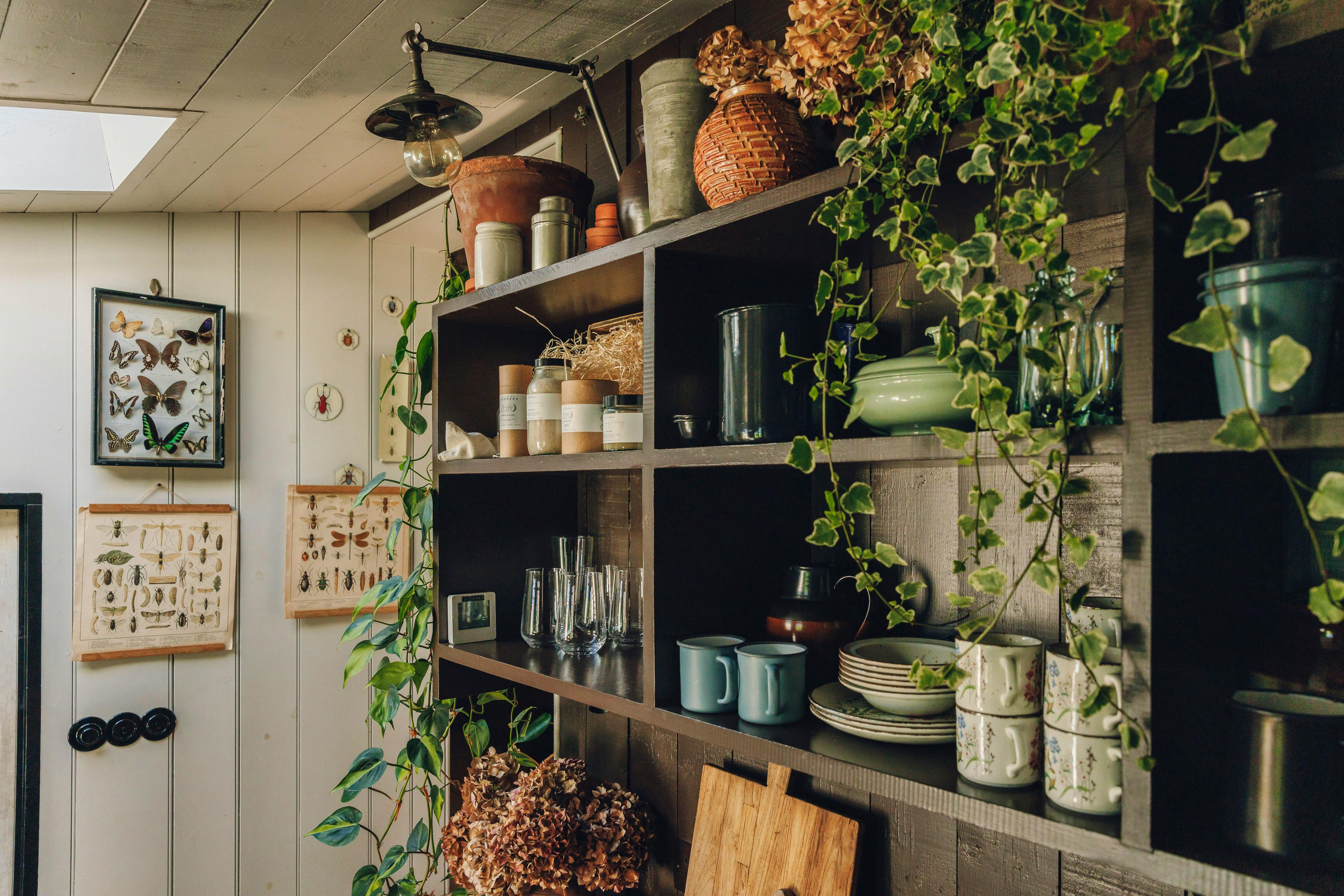 Spinks Nest Cottage - Stylish Norfolk cottage