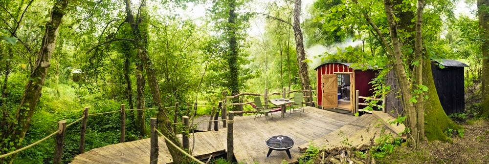 Dazzle Treehouse - Modern Dorset treehouse