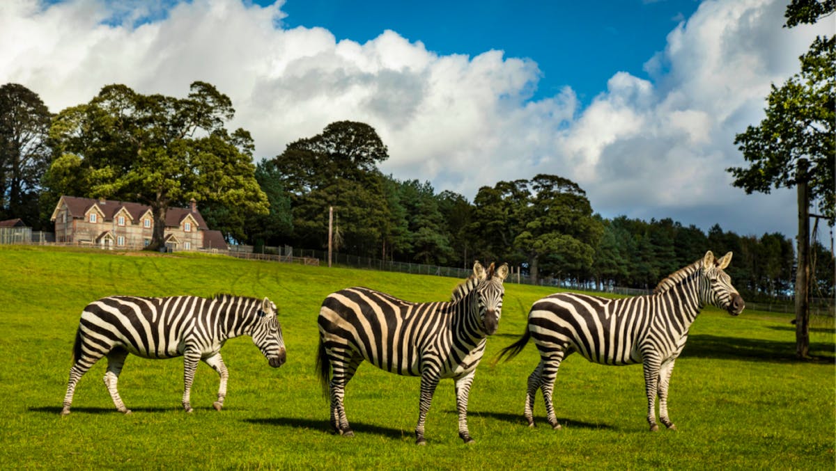 Keeper's Cottage at Longleat – Safari in the West Country