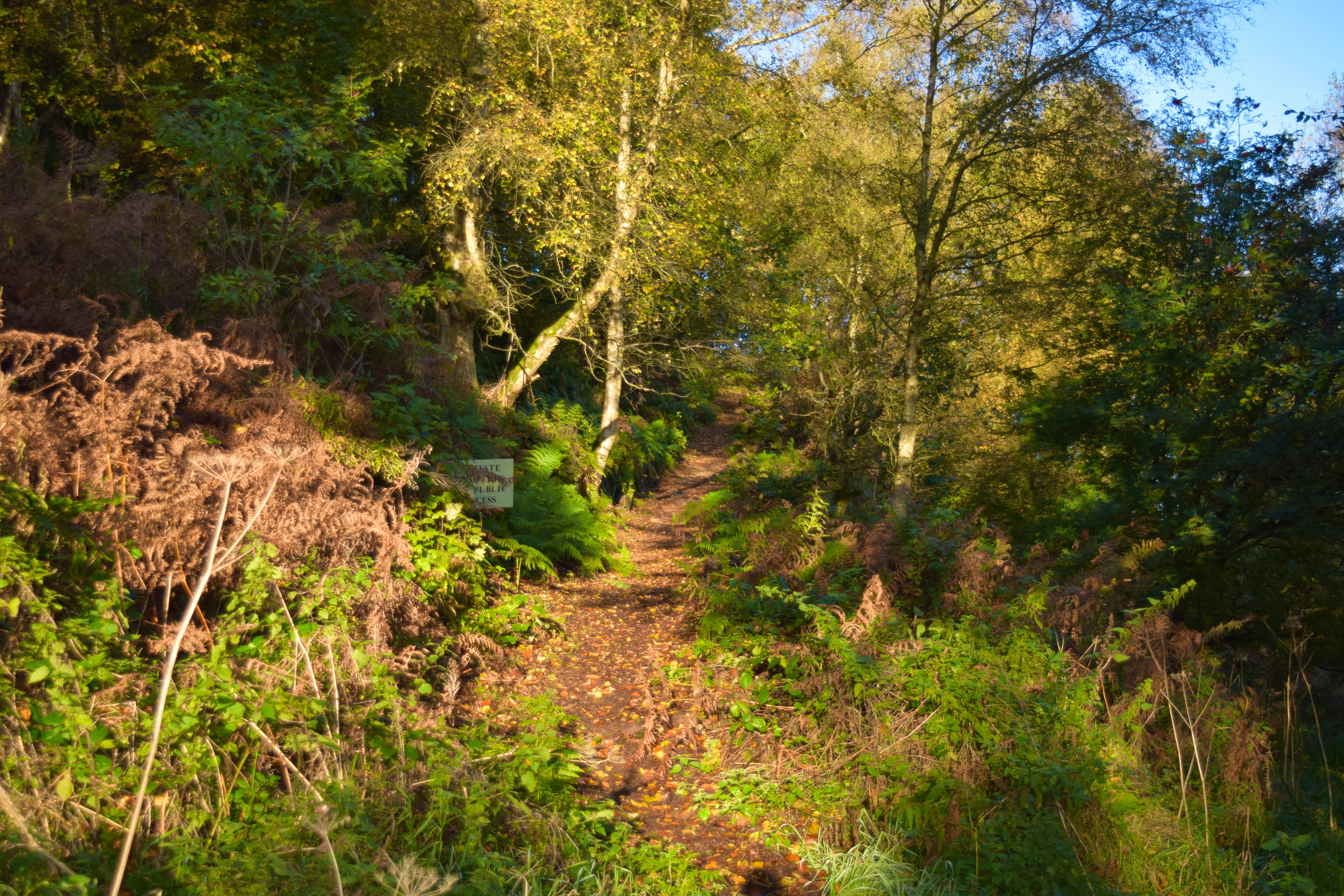 Boulder Field Cabin - Rugged, romantic Peak District cabin