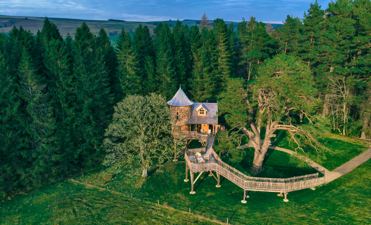 The Treehouses to Book Now