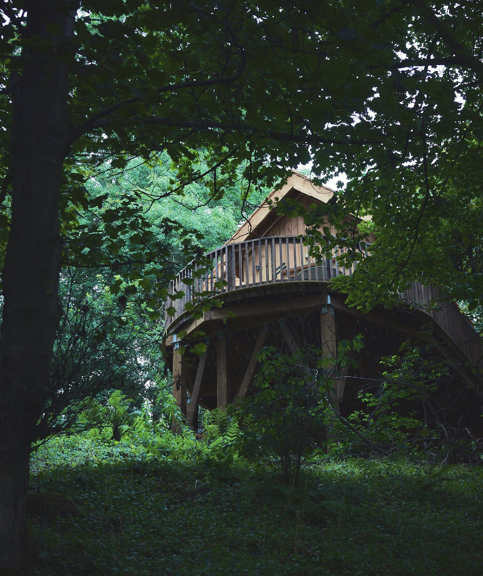 Wildhive at Callow Hall - Remarkable retreat