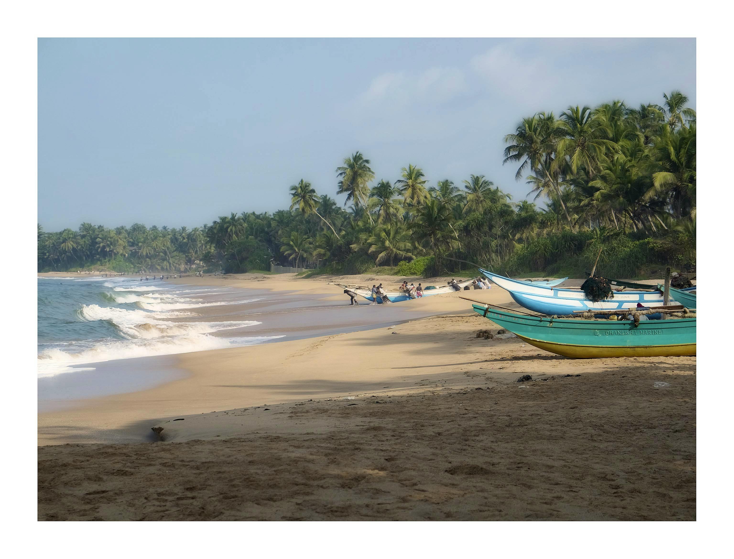 Villa Maggona - Tropical Sri Lankan Retreat