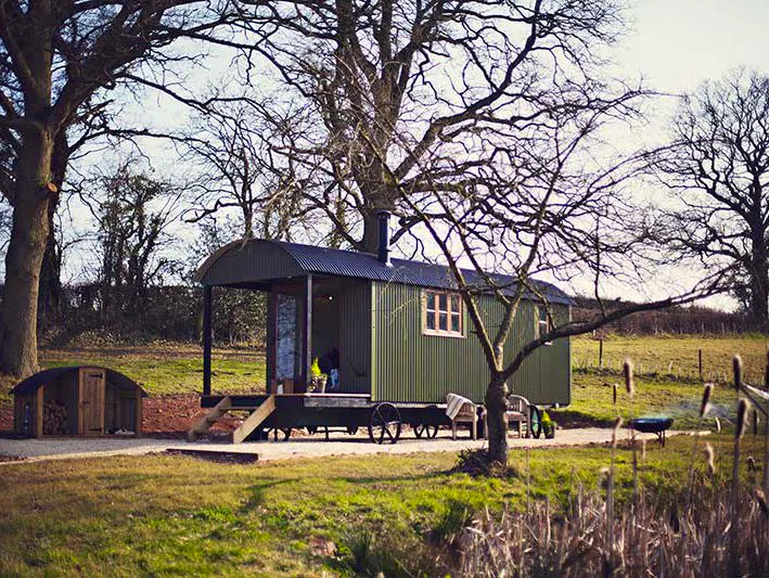 Wanderoo - A bijoux horse truck in the magnificent Brecon Beacons.