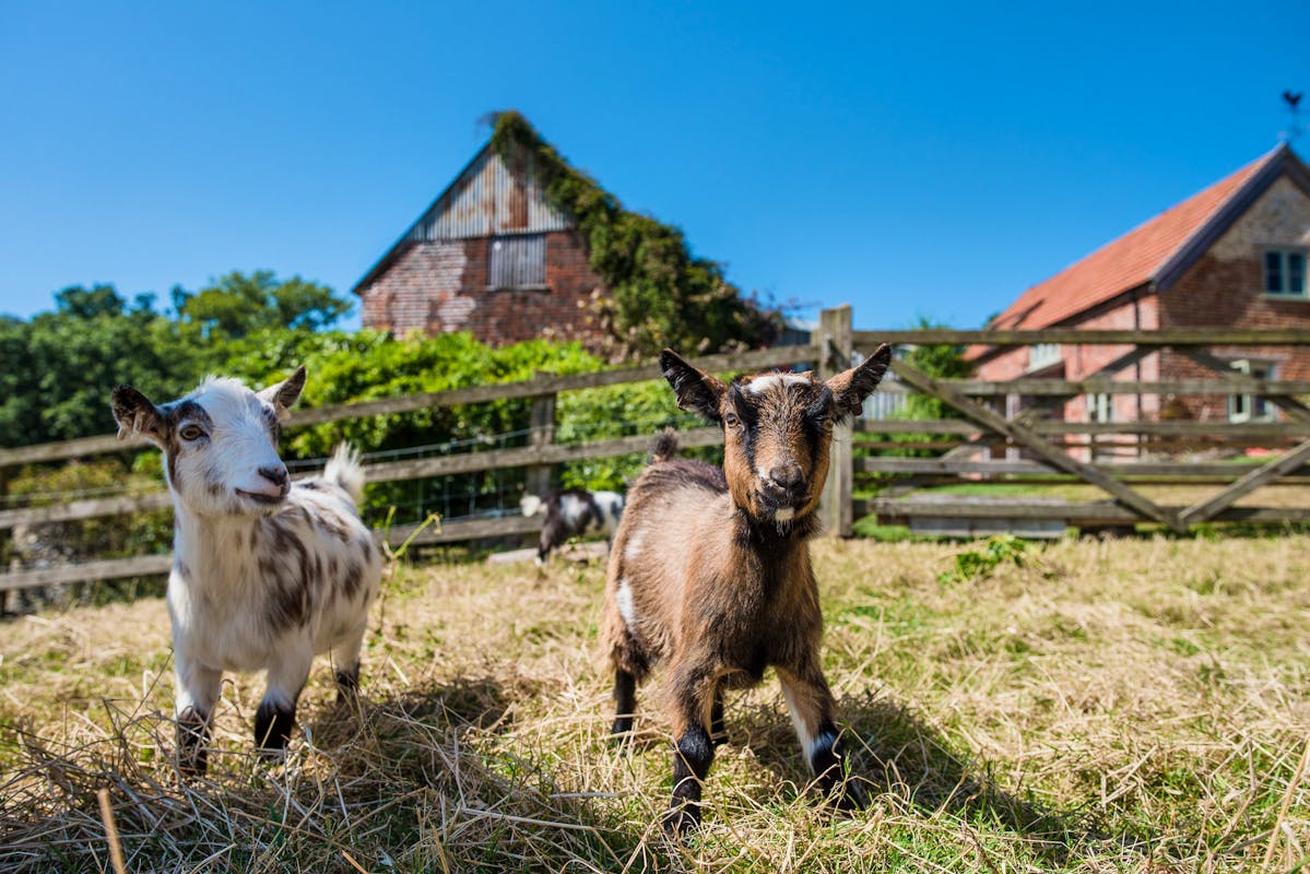 10 Coolest Farm Stays in the UK