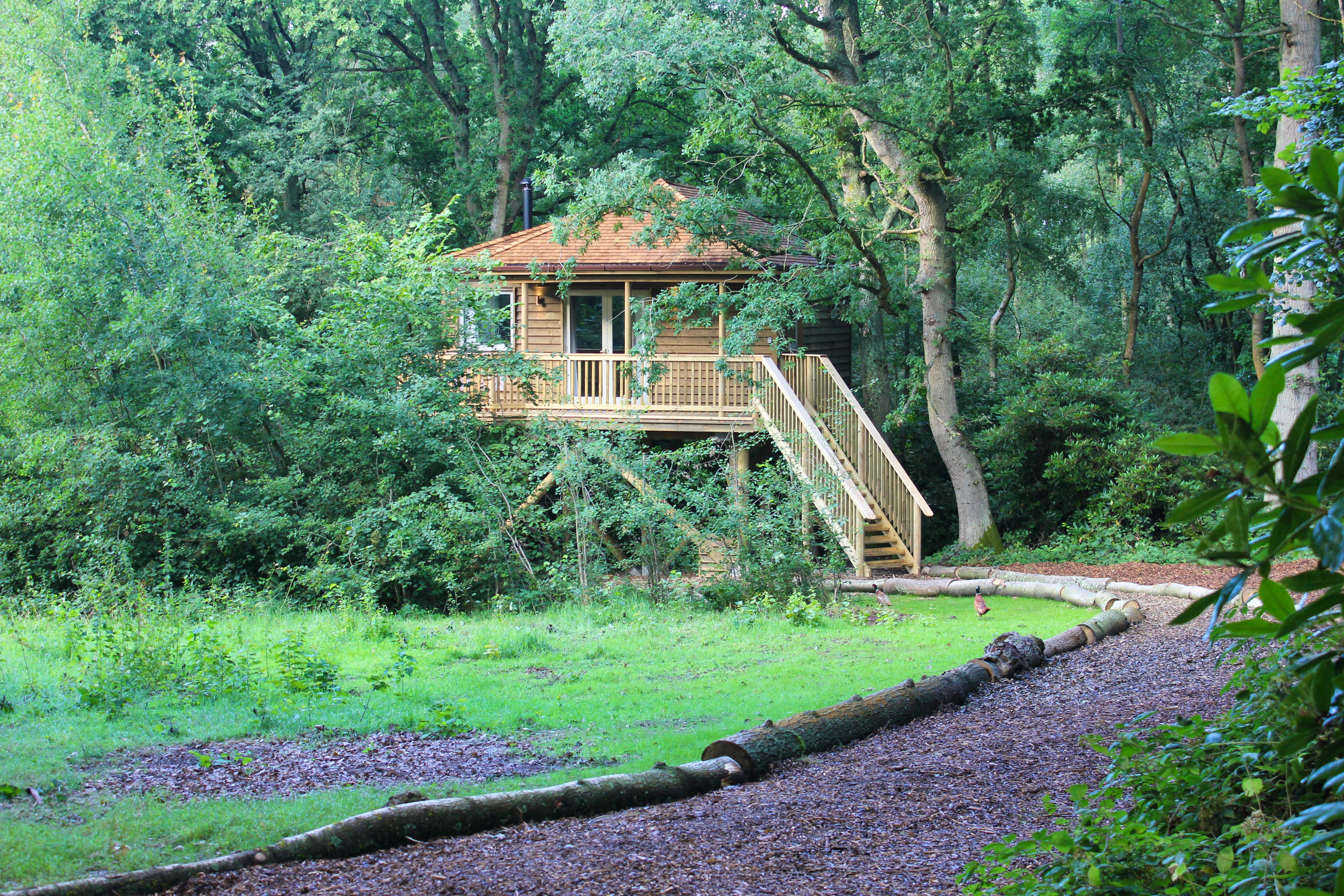 Tinkers Treehouse – a luxury woodland hideaway for 2 in East Sussex