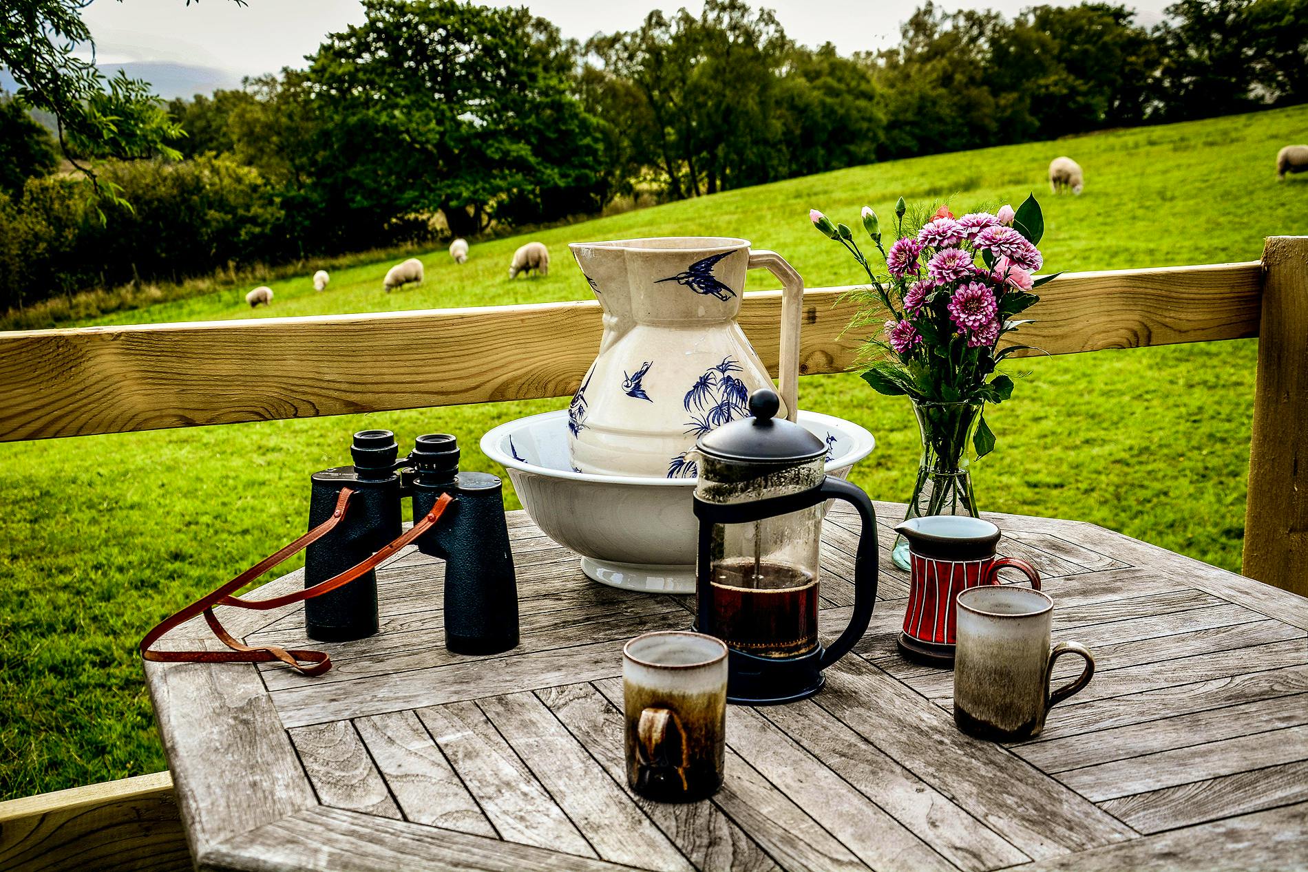 Wanderoo - A bijoux horse truck in the magnificent Brecon Beacons.