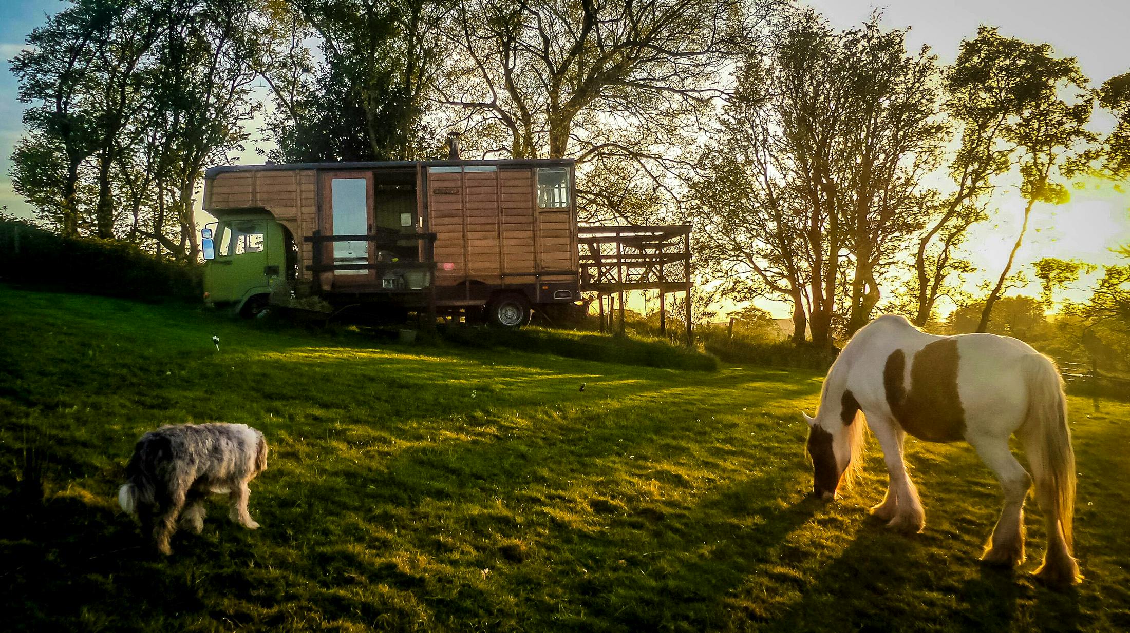 Wanderoo - A bijoux horse truck in the magnificent Brecon Beacons.