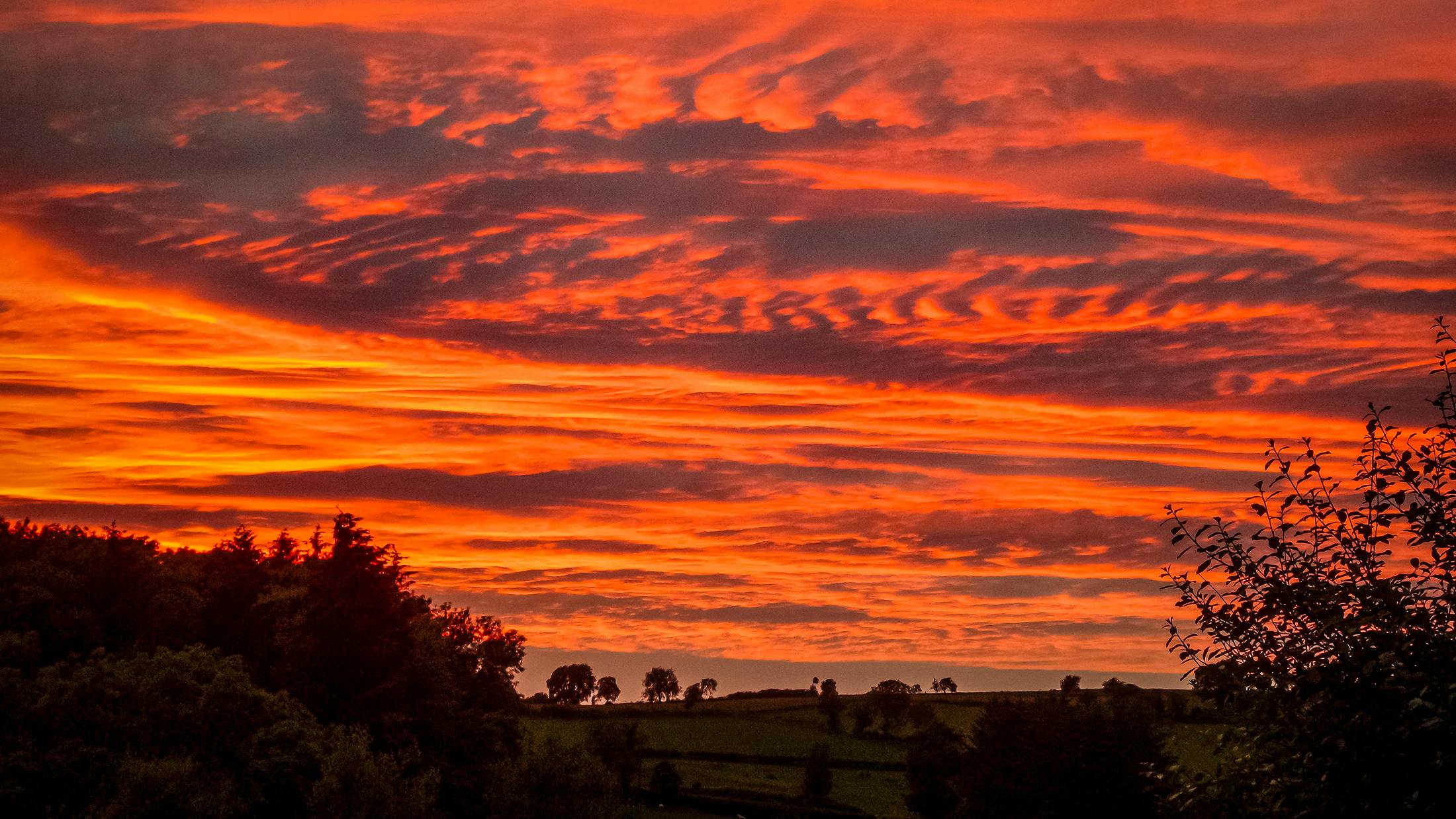 Wanderoo - A bijoux horse truck in the magnificent Brecon Beacons.