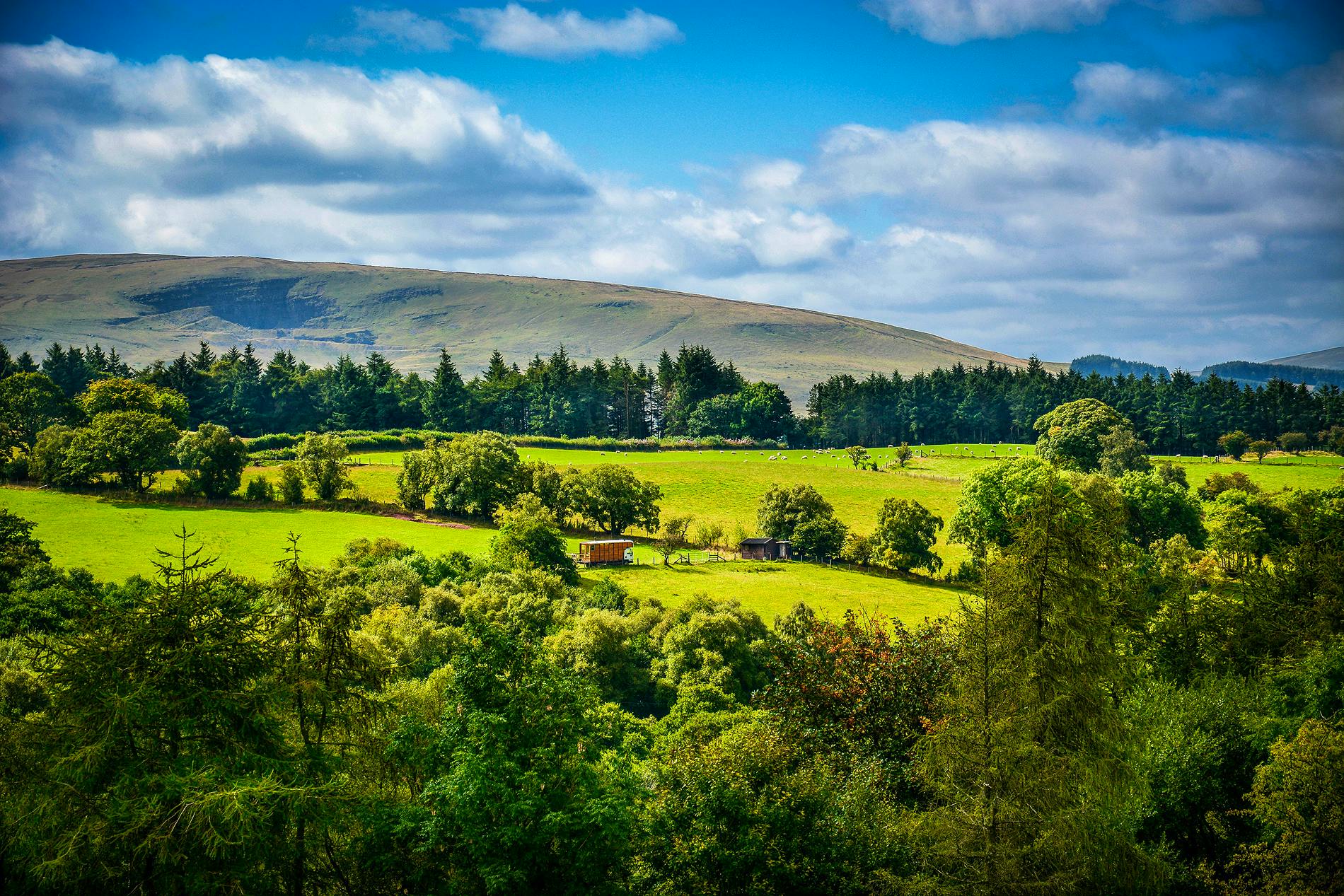 Wanderoo - A bijoux horse truck in the magnificent Brecon Beacons.