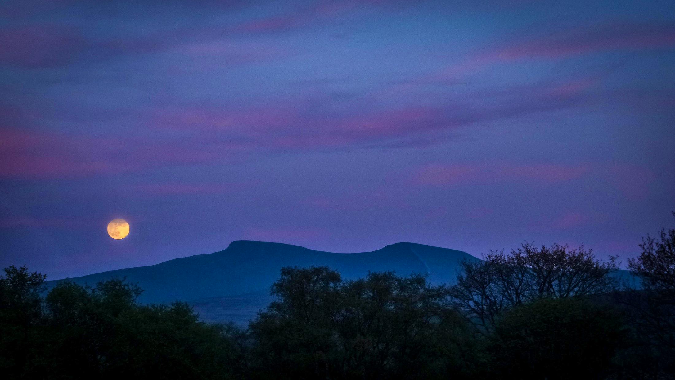 Wanderoo - A bijoux horse truck in the magnificent Brecon Beacons.