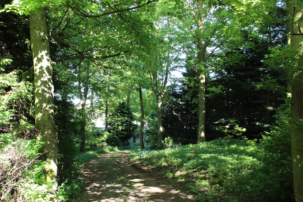 The Temple Folly - 18th Century folly in the Yorkshire Dales