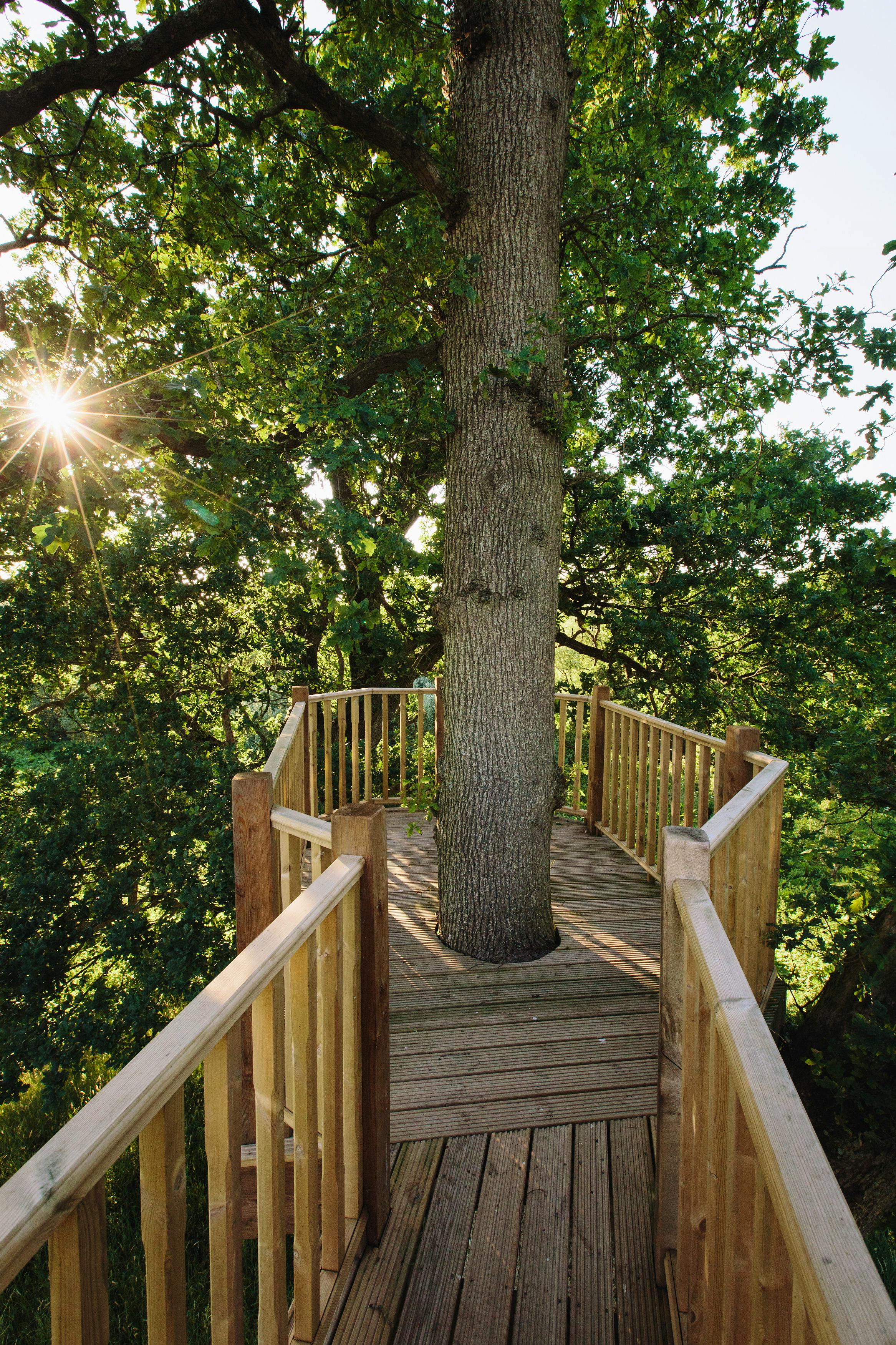 Netherby Estate Treehouse – a cosy cabin for 4 in Cumbria