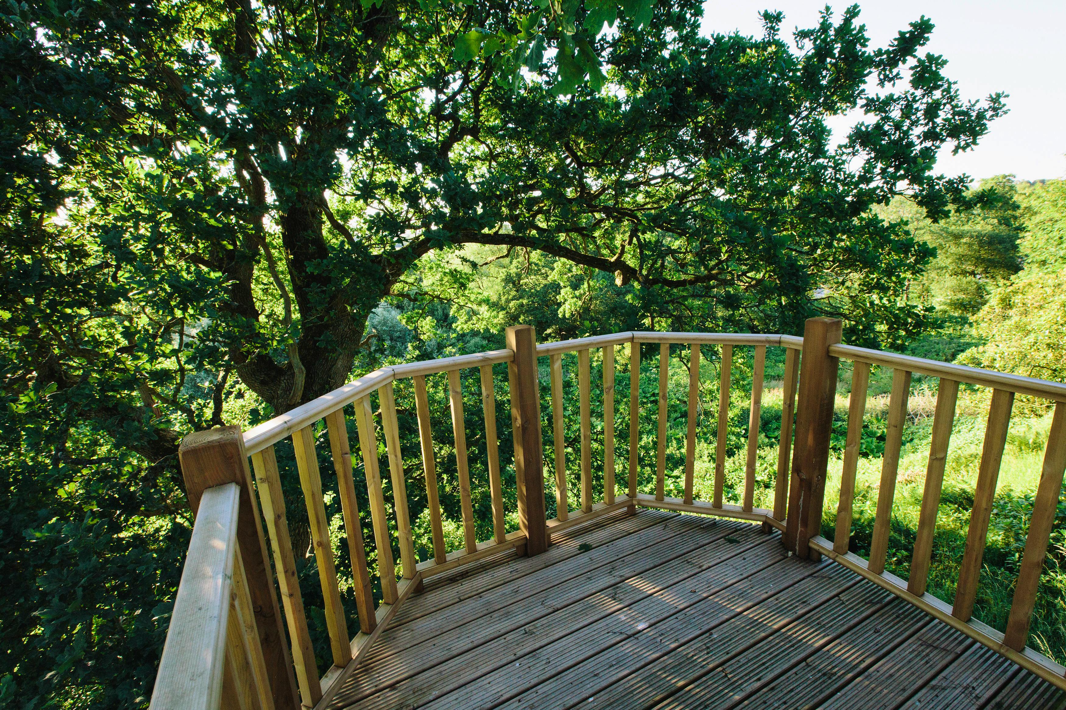 Netherby Estate Treehouse – a cosy cabin for 4 in Cumbria