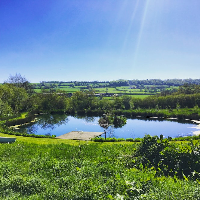 The Milkshed - Luxury meets rural charm in East Devon