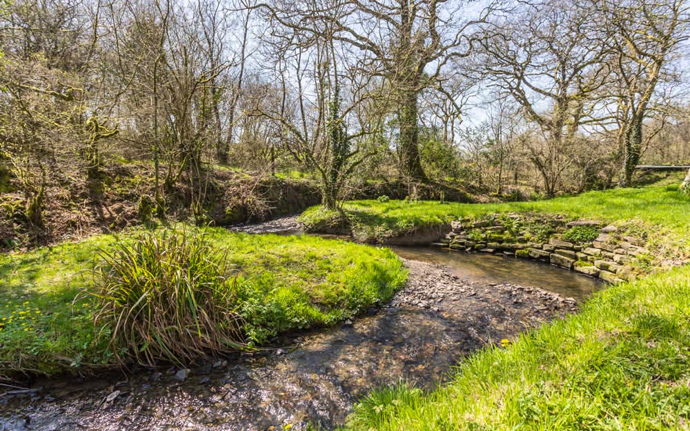 Devon Dens - Two gorgeous off-grid cabins in rural Devon