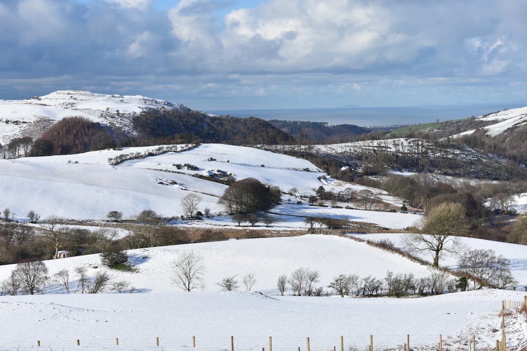 Ty'r Onnen Treehouse - A romantic, off-grid nest in rural West Wales.