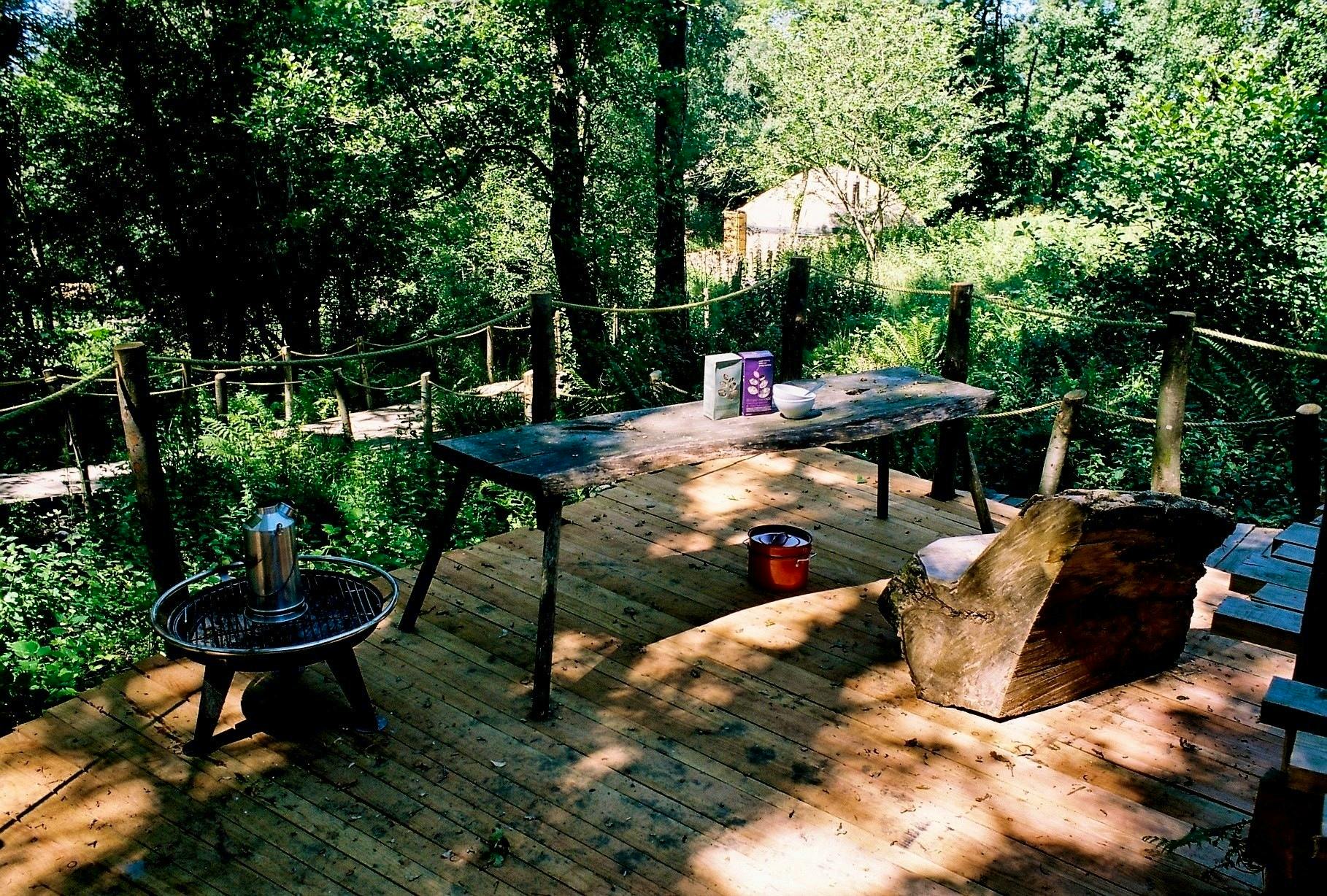 Dazzle Treehouse - Modern Dorset treehouse