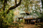 Will's Tree House - Luxury Warwickshire treehouse with gorgeous views